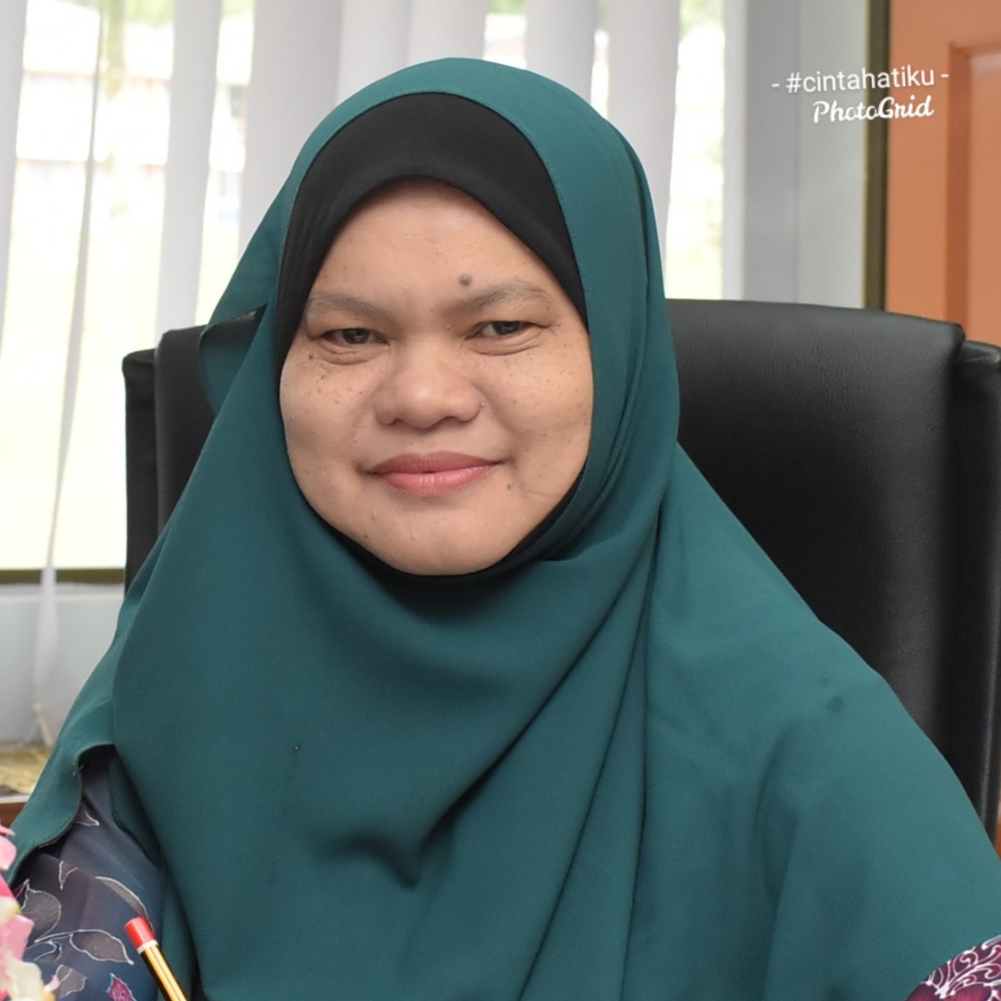 CURRICULUM VITAE PROF. MADYA DR. NORLIDA HANIM BINTI MOHD SALLEH