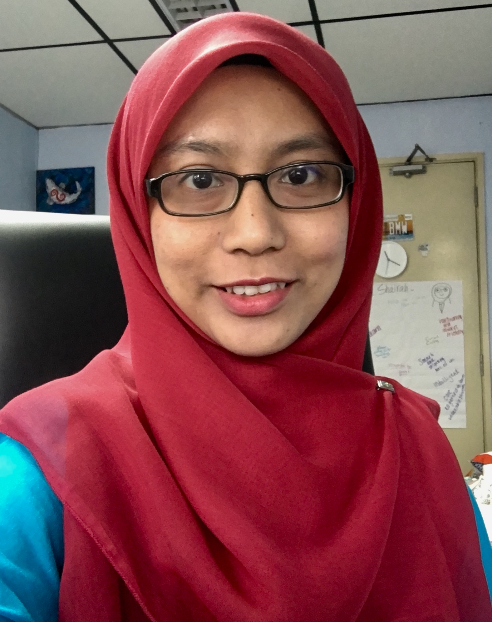 CURRICULUM VITAE DR. SHAIRAH BINTI ABDUL RAZAK
