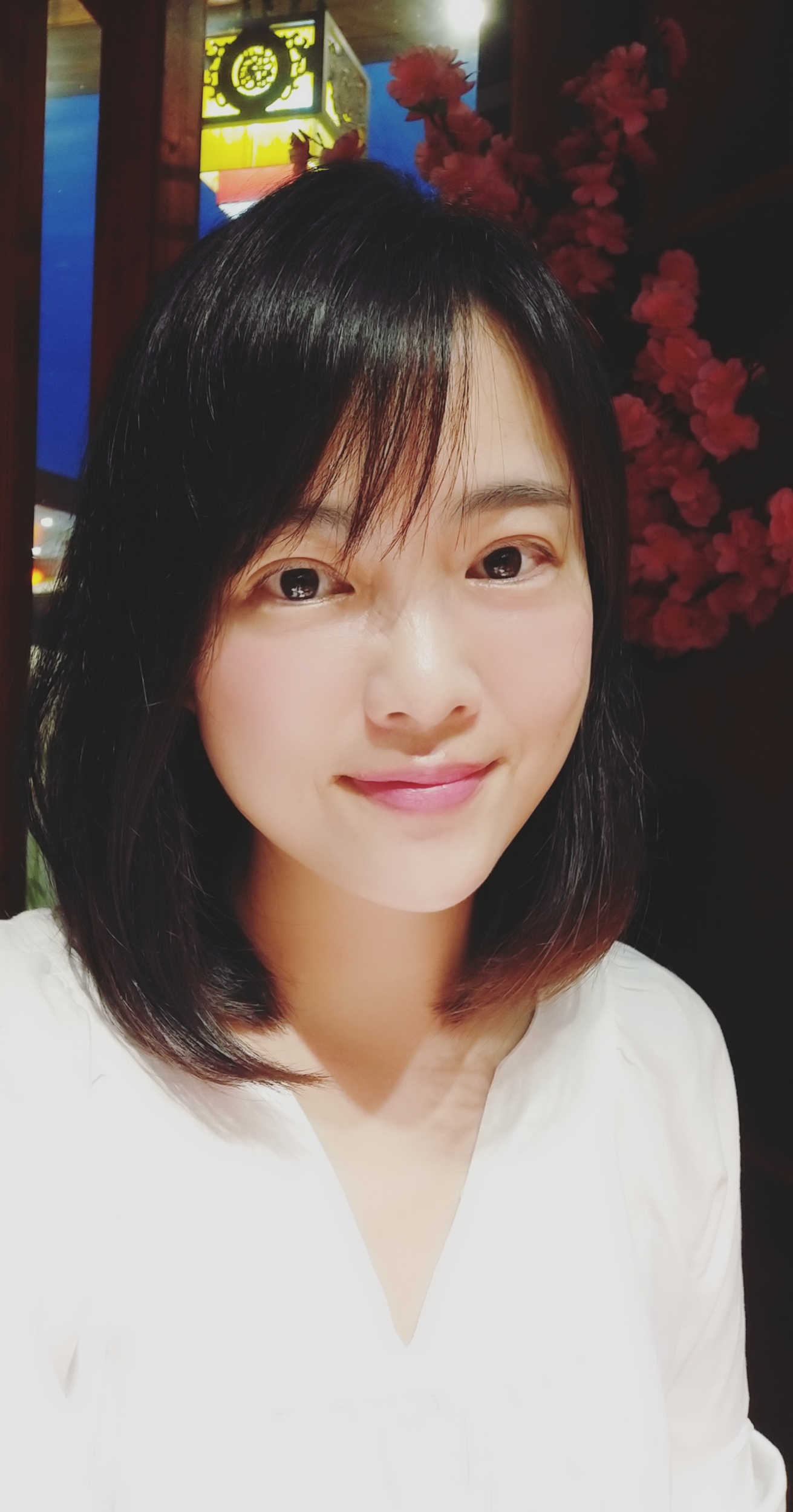 CURRICULUM VITAE DR. NG LAY SHI